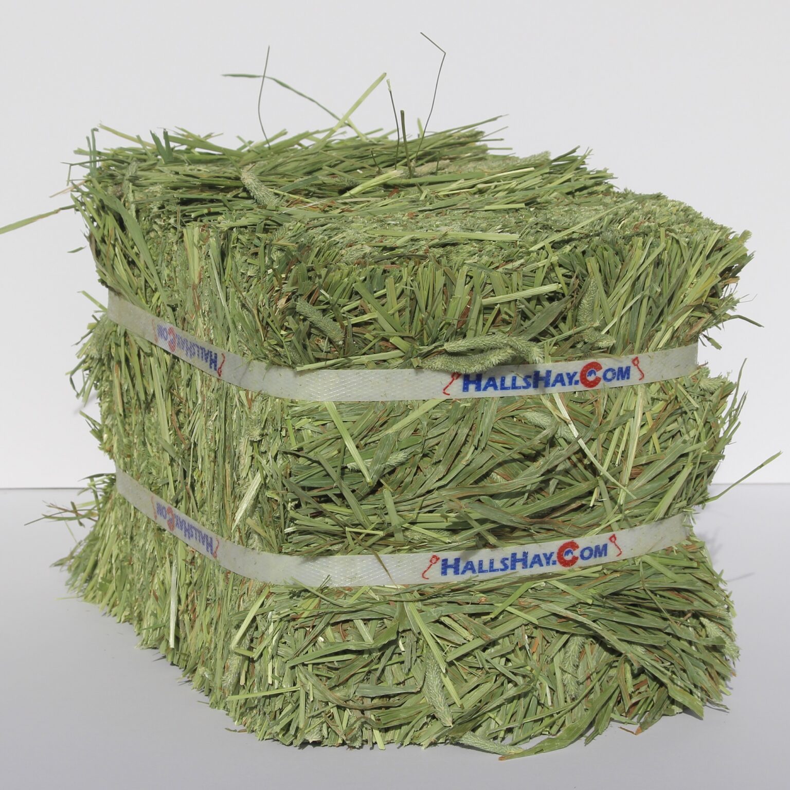 Timothy Hay 1st Cut Mini-Bales – HALL'S HAY
