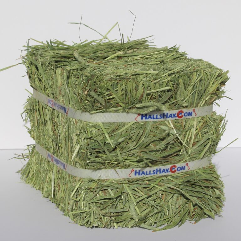 Timothy Hay 1st Cut Mini-Bales – HALL'S HAY