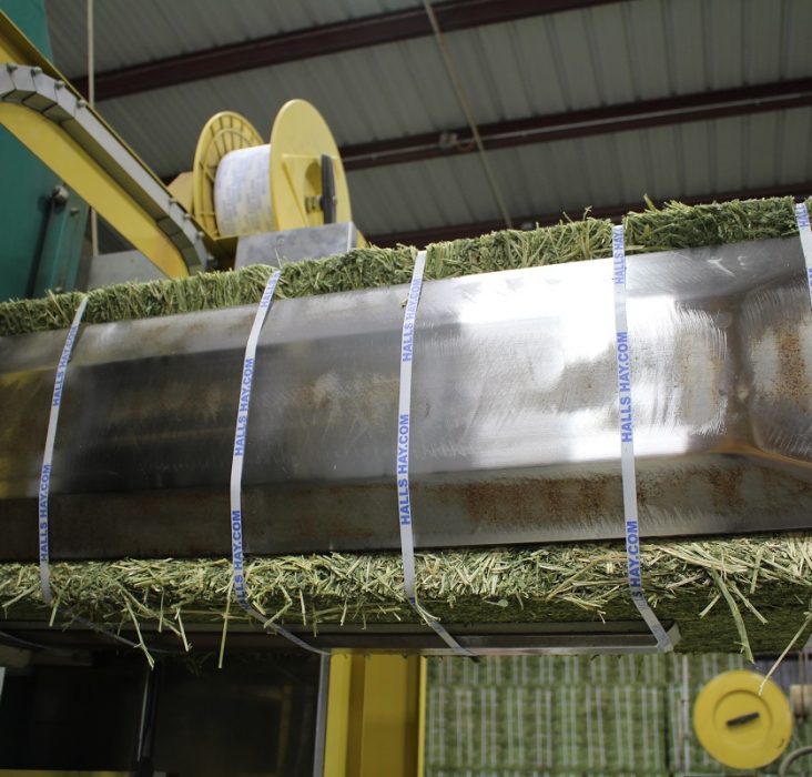 Hay Processing and Packaging – HALL'S HAY