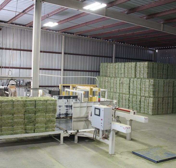 Hay Processing and Packaging – HALL'S HAY