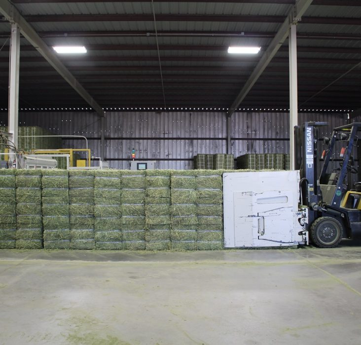 Hay Processing and Packaging – HALL'S HAY