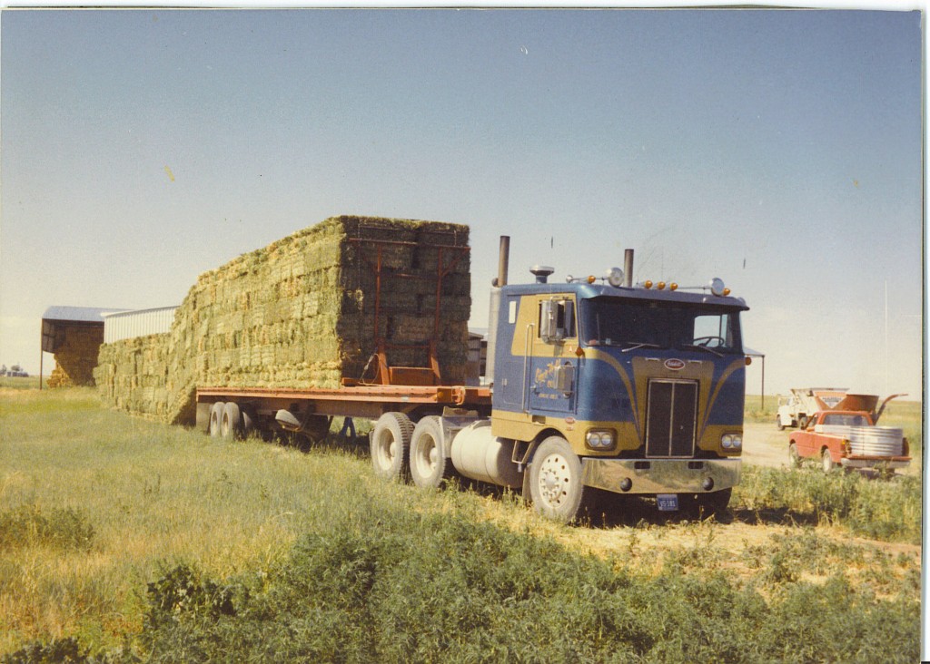 History – HALL'S HAY